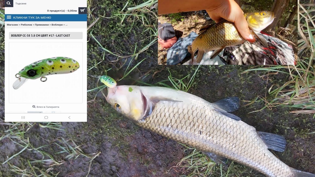 убийствен риболов на кефал на р.Тунджа огромни кефали на cc38 и lil bug ...