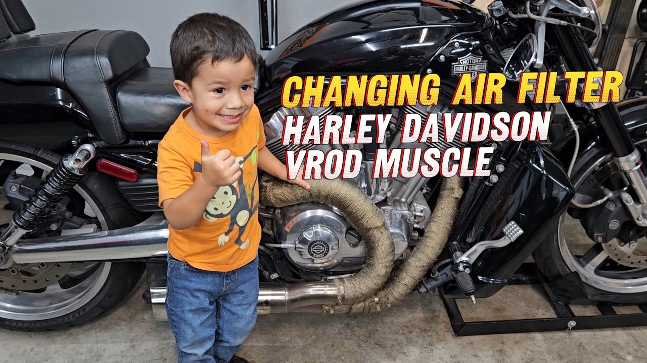 Changing air filter Harley Davidson V-Rod Muscle - YouTube