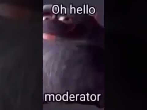 oh hello moderator #shorts #лол - YouTube