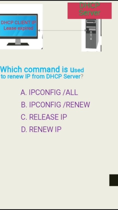 DHCP IP Address | Dynamic IP Address | how to assign dynamic IP Address - YouTube