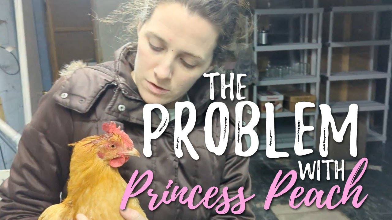 The Problem with Princess Peach - YouTube