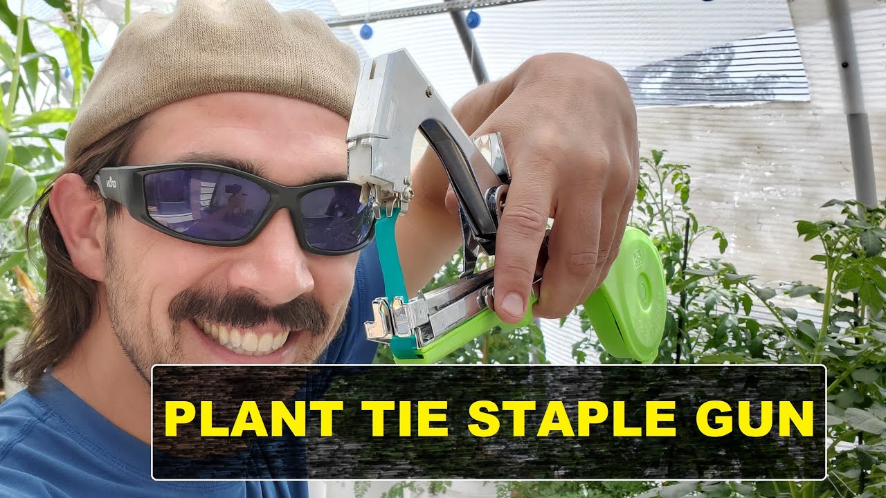 Plant Tie Staple Gun for Tomato's and Plant Support - YouTube