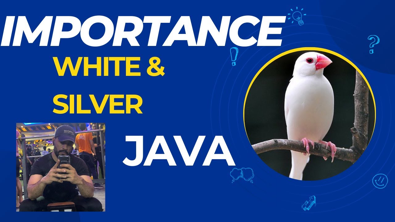 White & Silver Java Future - YouTube