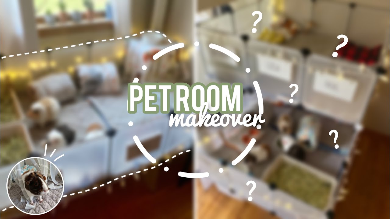 EXTREME PET CAGE MAKEOVERS | TIMELAPSE 2023 Abi’s Animals - YouTube