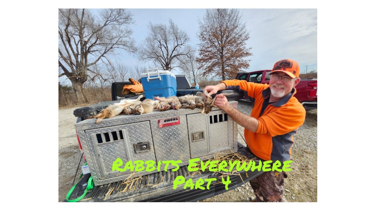 Rabbits Everywhere | part 4 | Tons of action and shots - YouTube