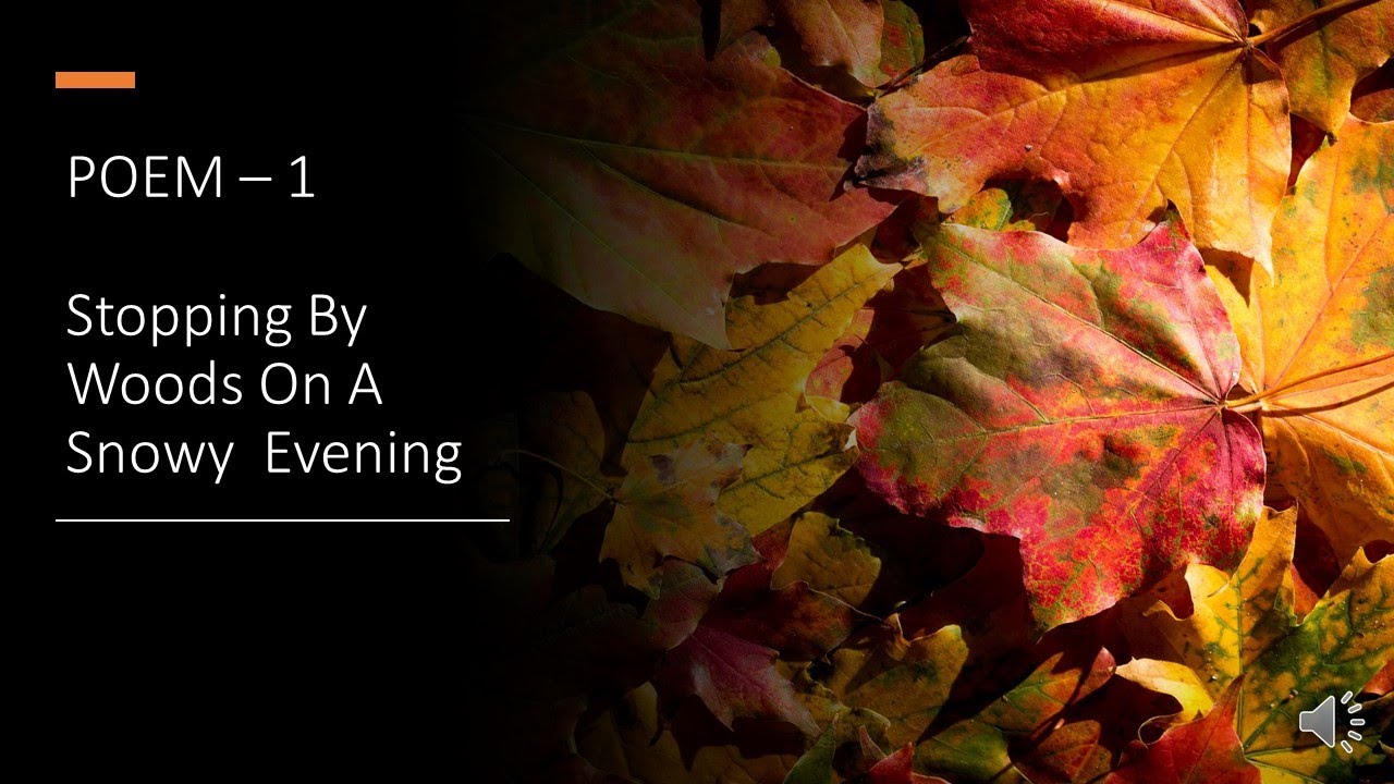 9TH STD POEM STOPPING BY THE WOODS | SLN MATRICULATION SCHOOL - YouTube