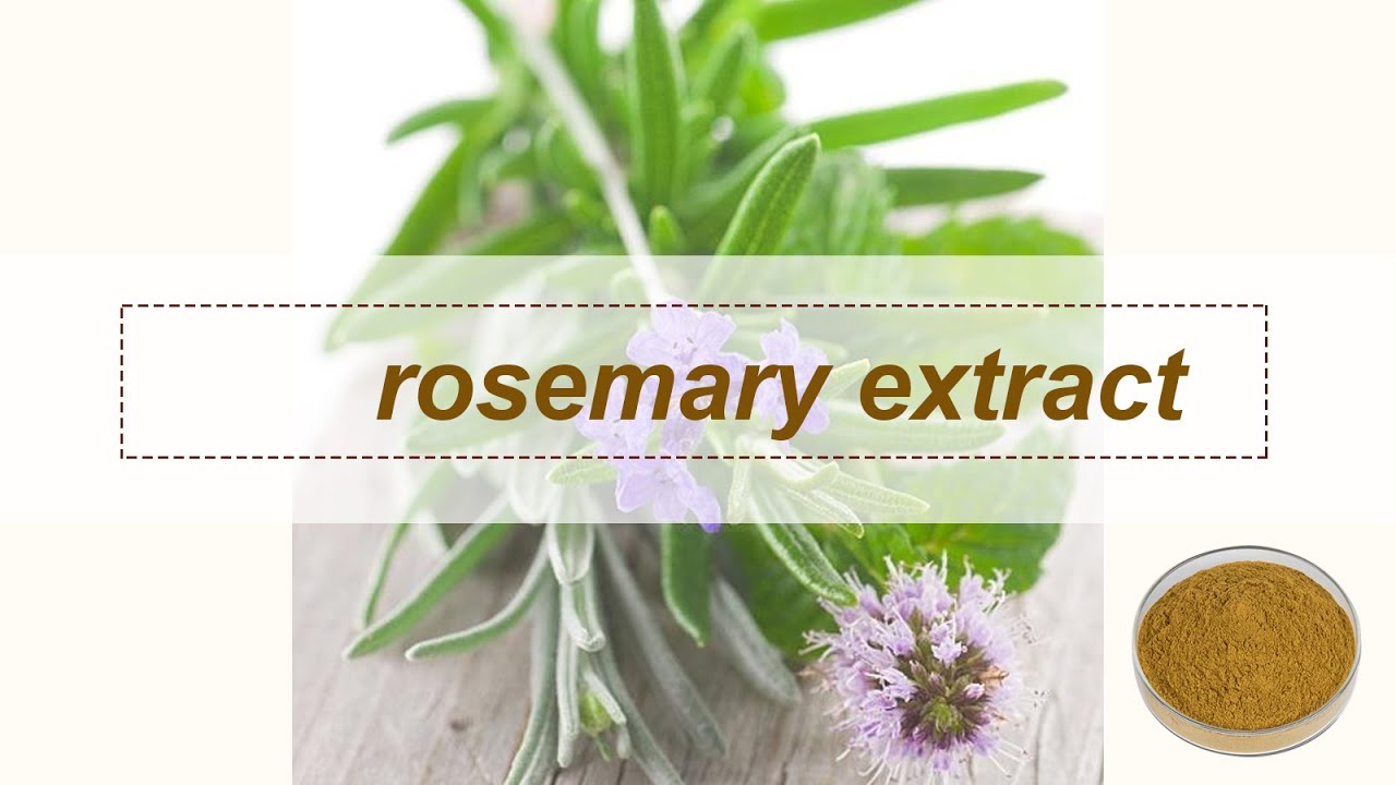 [Rosemary Extract]Wellgreen OEM Package Carnosic Acid Powder Natural ...