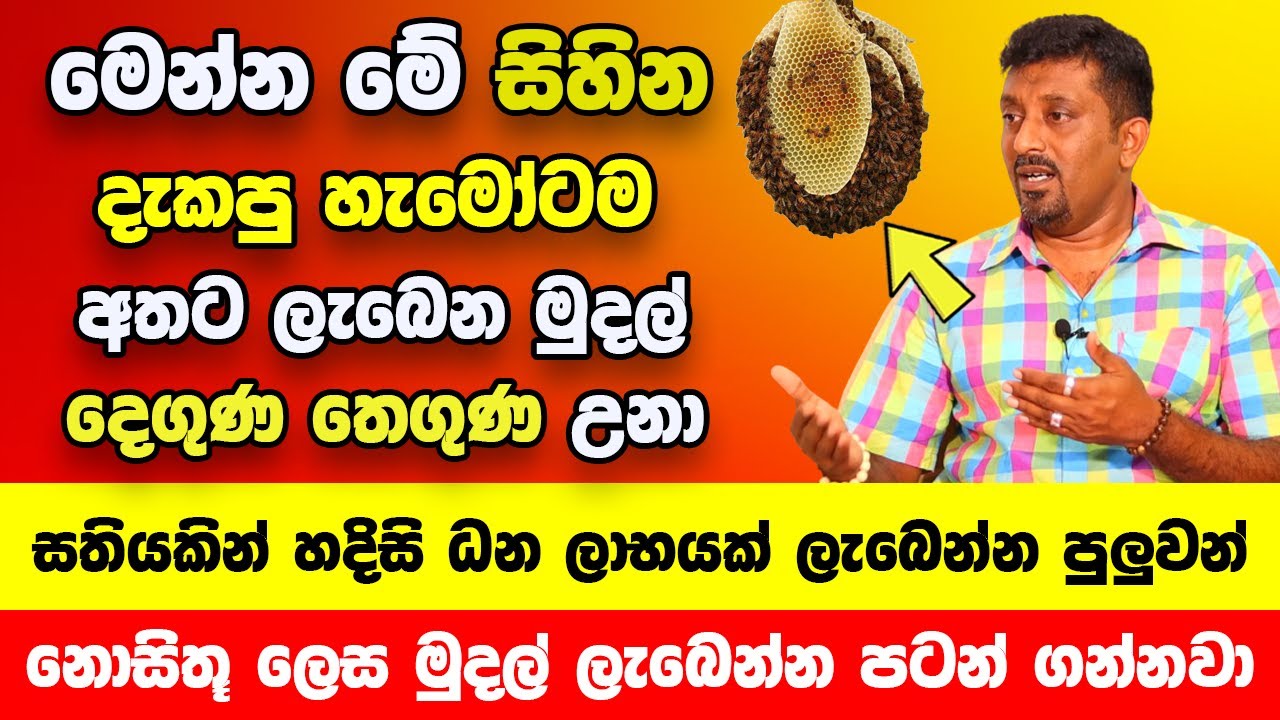 මෙන්න මේ සිහින වලින් එකක් හරි ඔබත් දැක්කා නම් සතියකින් ඔබට හදිසි ධන ...