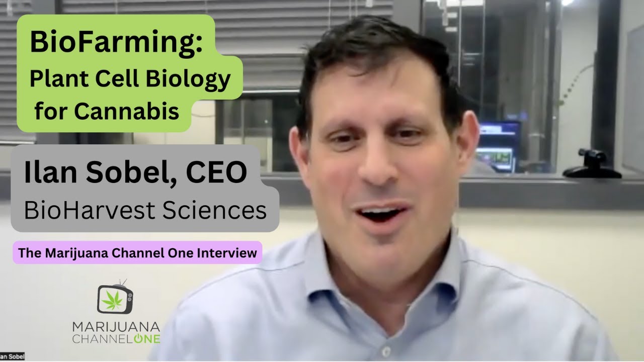 BioHarvest Sciences CEO Ilan Sobel: Pioneering Plant Cell Biology for ...