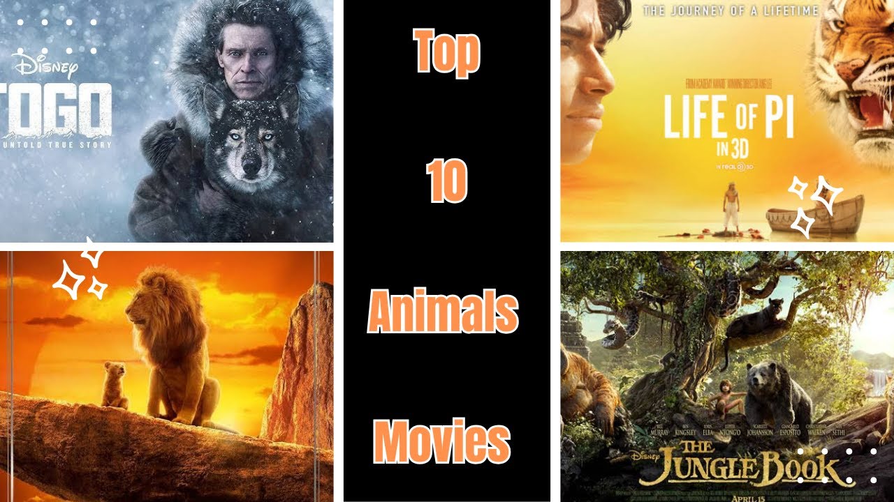 Top 10 Best Animal Movies of All Time!Best Animal Movies You must watch ...
