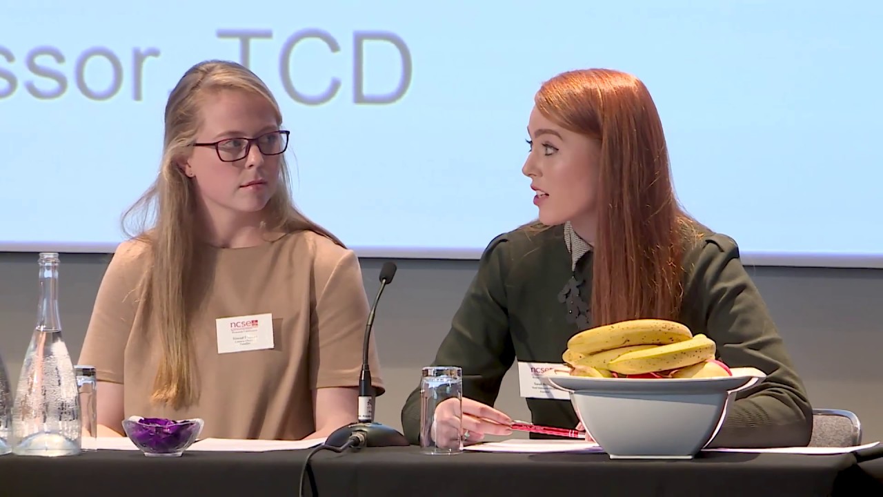 Panel Discussion on Teacher Education for Inclusion - YouTube