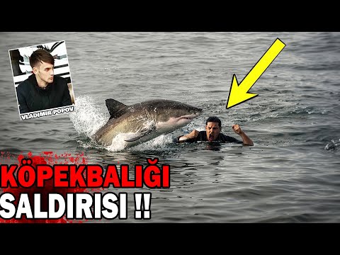 Köpek Balığı Saldırısı Sonucu Hayatını Kaybeden VLADIMIR PAPOV'in Hikayesi