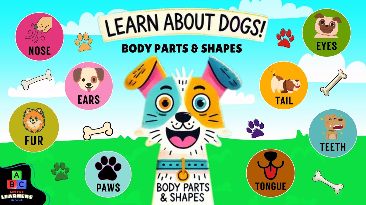 Dog Shapes Crufts Is Back! Dogs Of All Shapes And Sizes, Big And Small