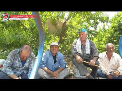Portakal Bahçesinde Kavalı Çok Dertli Çalıyor Muhteşem HD