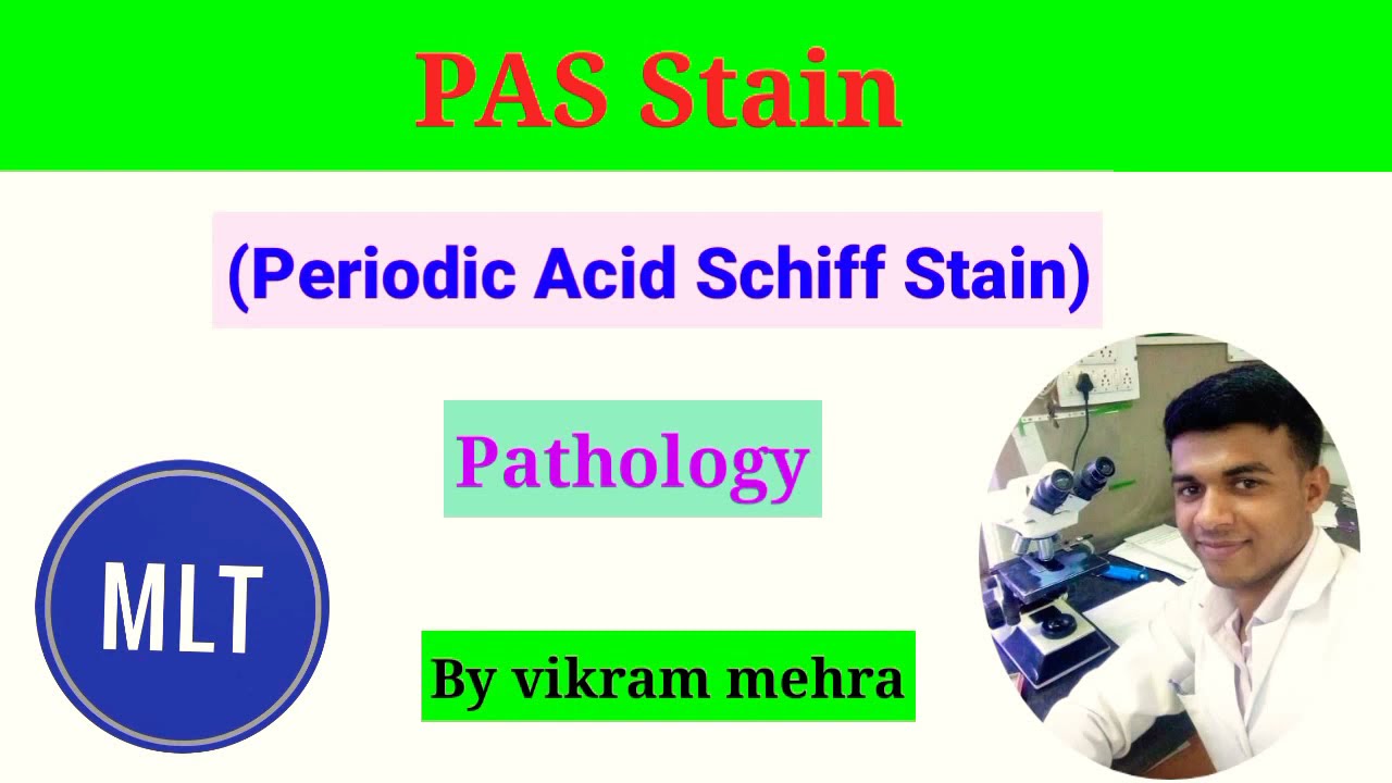 Periodic Acid - Schiff [PAS] Stain || #MLT #Paramedical #Histopathology ...