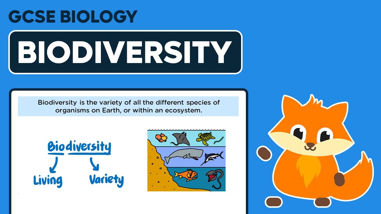 Biodiversity - GCSE Biology - YouTube
