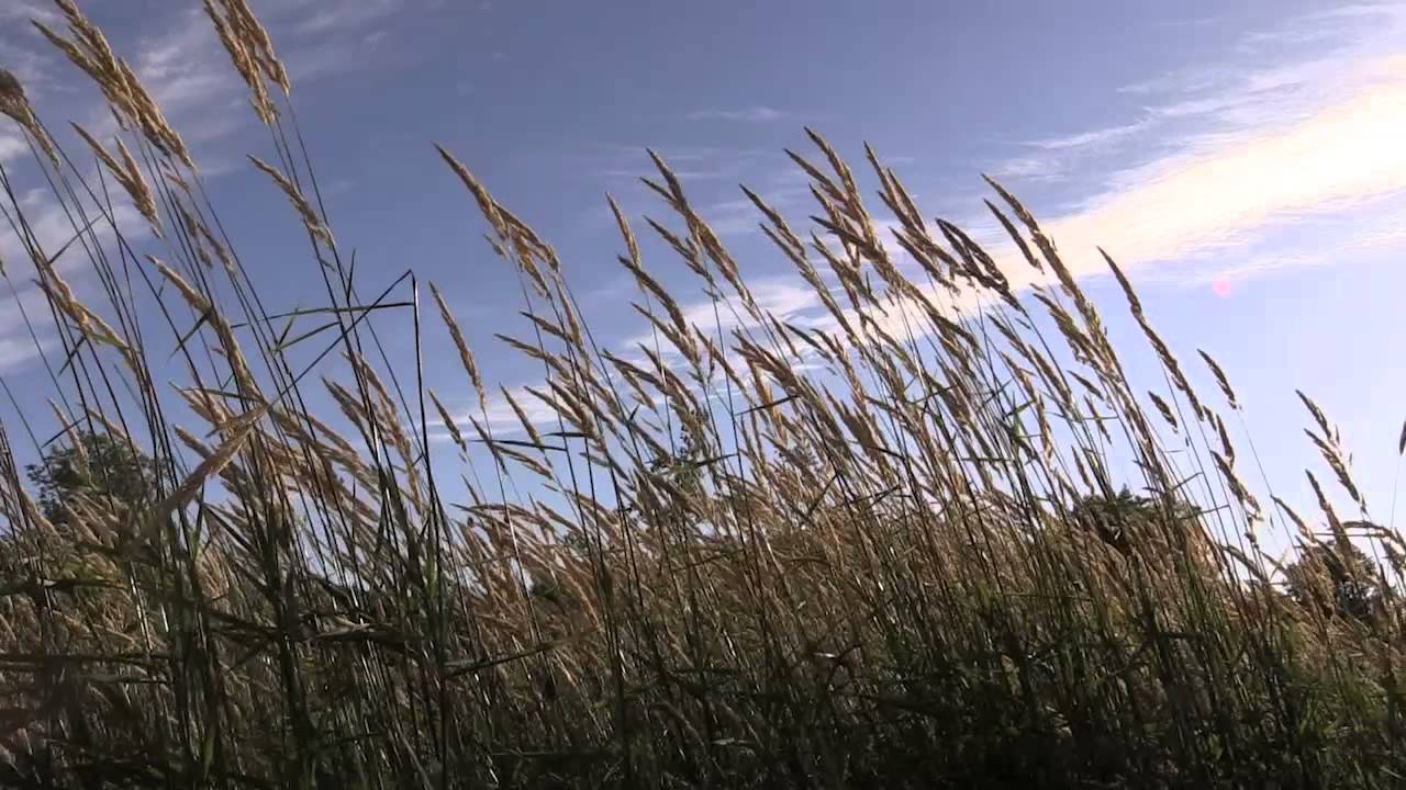 RotoGrinders Weather Updates With Kevin Roth - YouTube