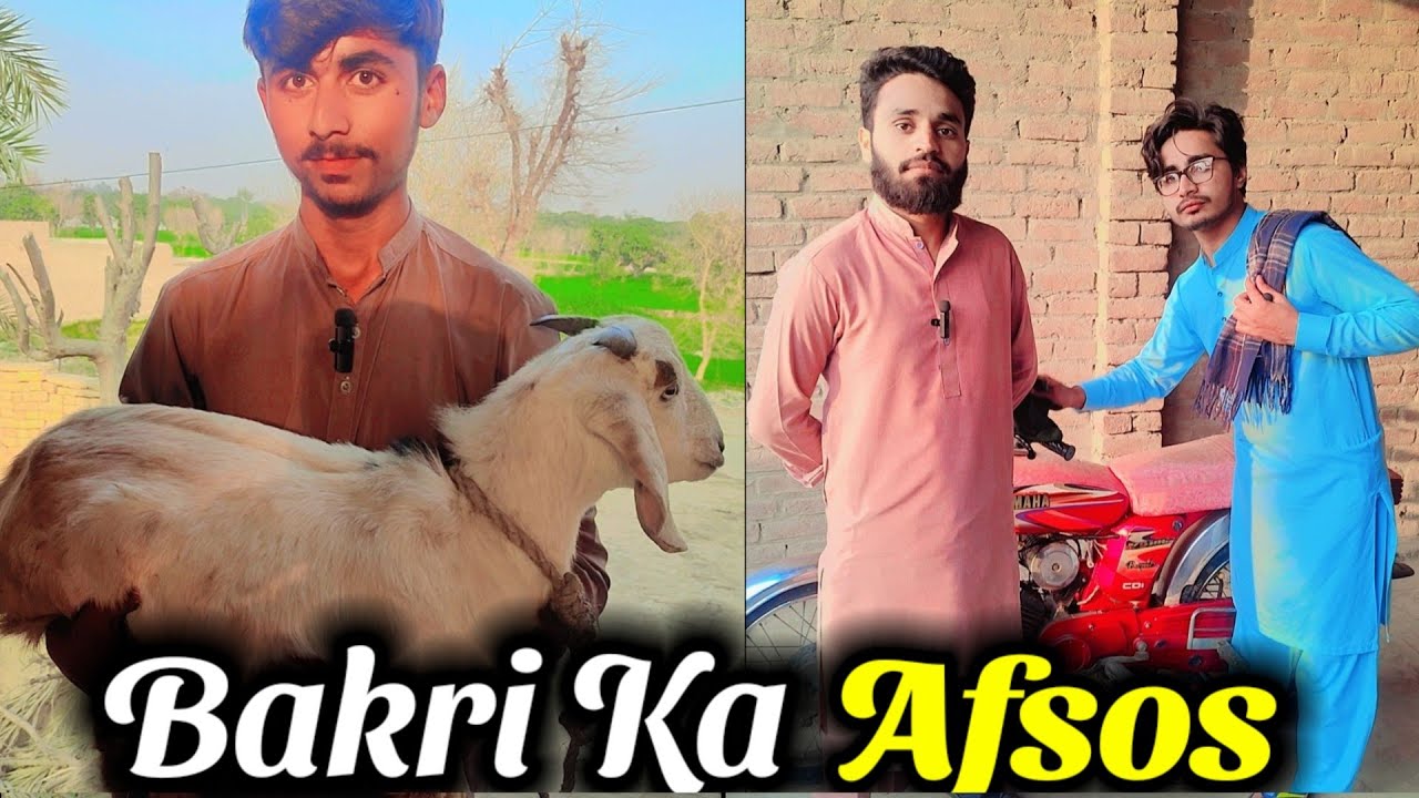 Bakri Ka Afsos 😂 Funny video 🤣🤣 | Pakistani funny video 🤣🤣 | Adnan ...