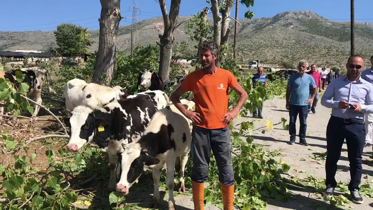 ΟΤΑΝ Ο ΥΠΟΥΡΓΟΣ ΕΝΕΡΓΕΙΑΣ ΚΩΣΤΗΣ ΧΑΤΖΗΔΑΚΗΣ ΣΥΝΑΝΤΗΣΕ ΕΝΑ ΚΟΠΑΔΙ ...