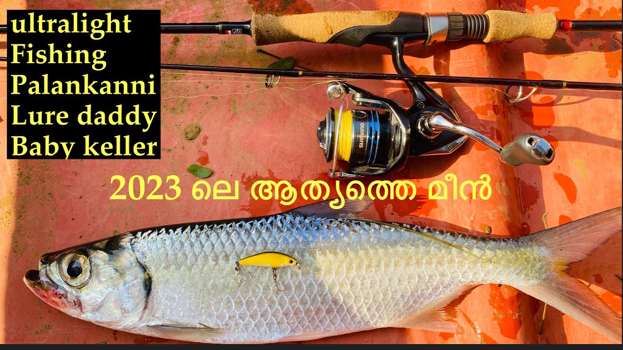 2023 ലെ ആത്യത്തെ മീൻ പിടുത്തം #പാലാത്തൻ #ultra light fishing #palathan# ...