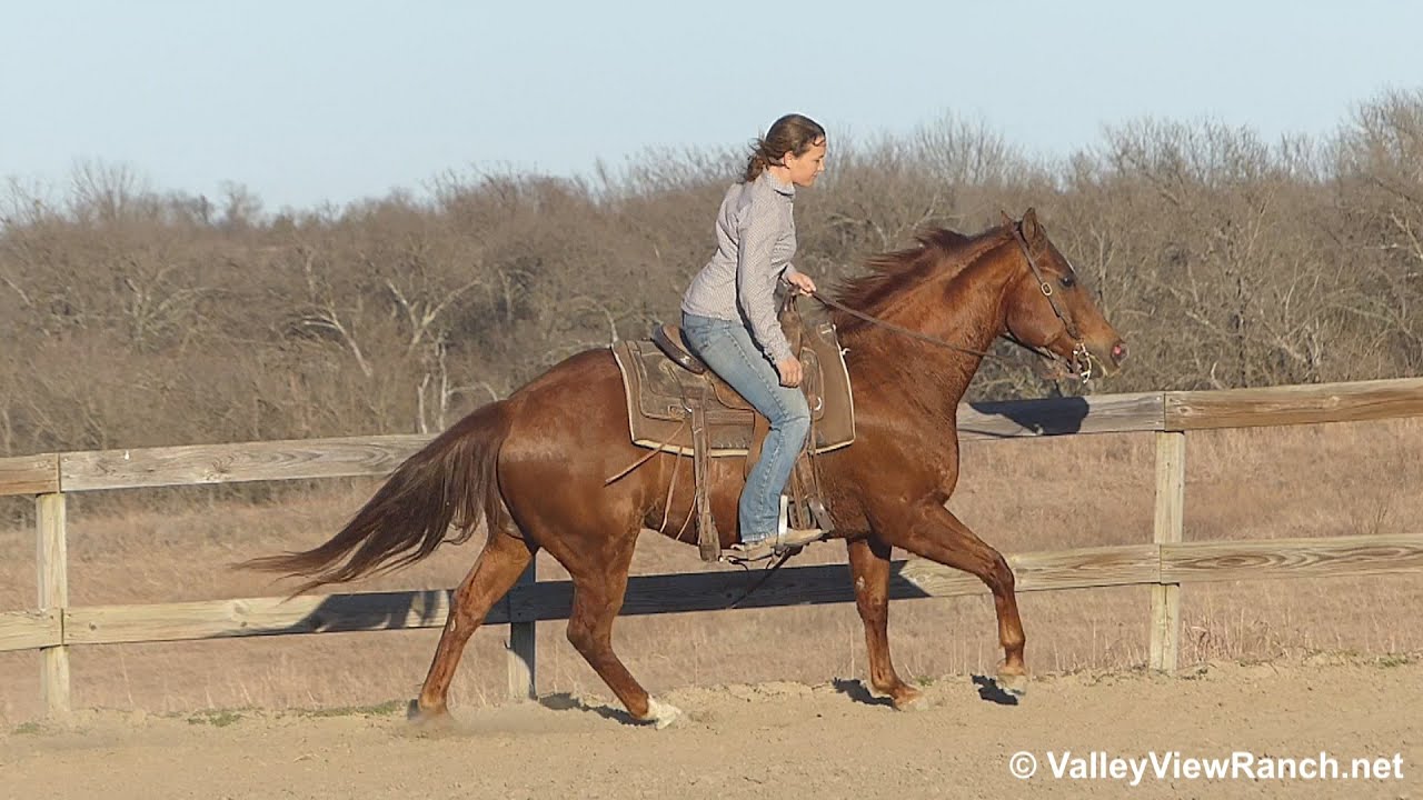 On Island Time - riding in outdoor arena - Valley View Ranch - YouTube
