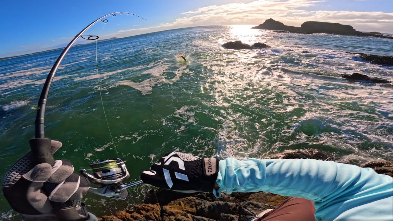 Land Based FISHING Northern New South Wales, AUSTRALIA! | Living Off ...