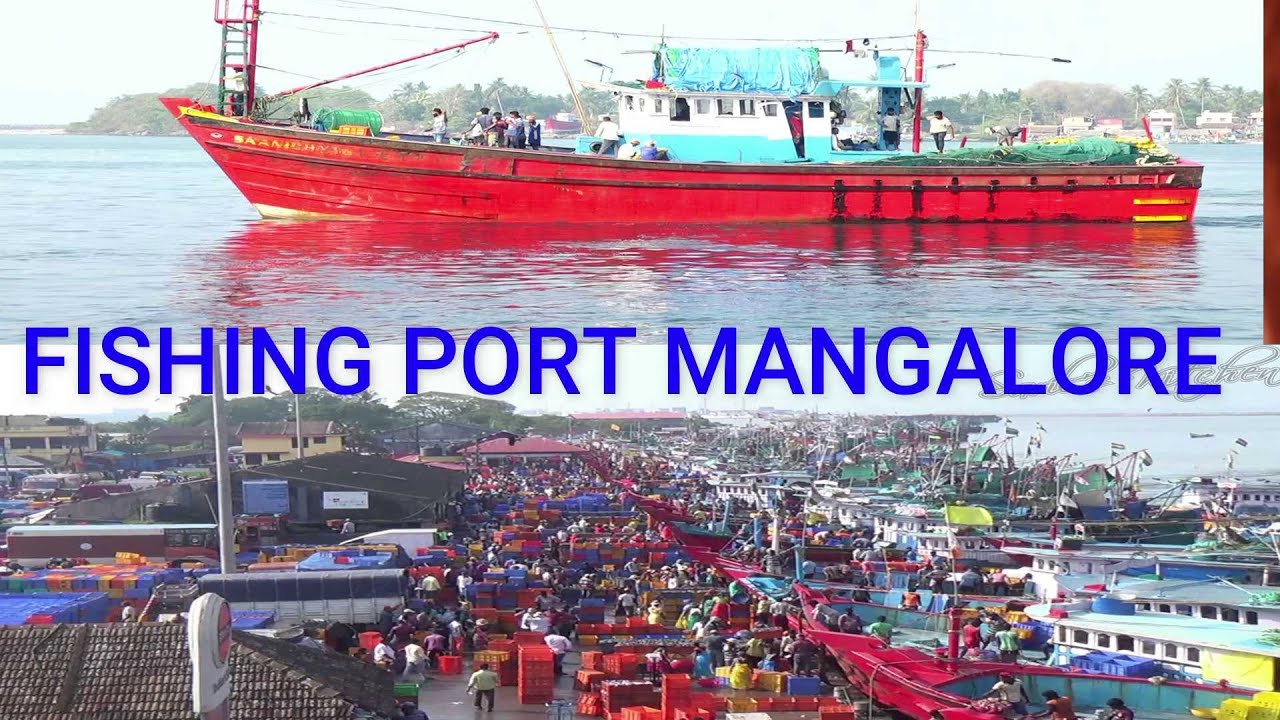 A Journey Through Fishing Port Mangalore(Dakke Bunder) with Best ...