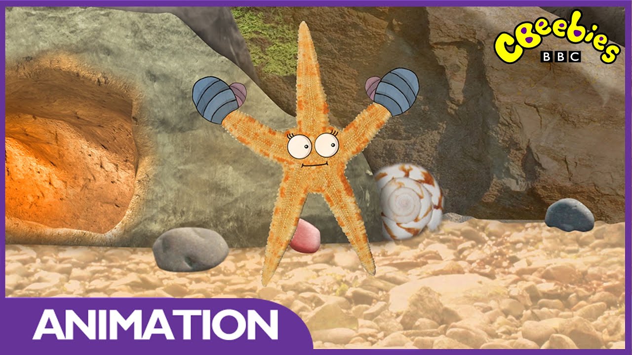 CBeebies: Old Jack's Boat Rockpool Tales - Sally the Starfish - YouTube