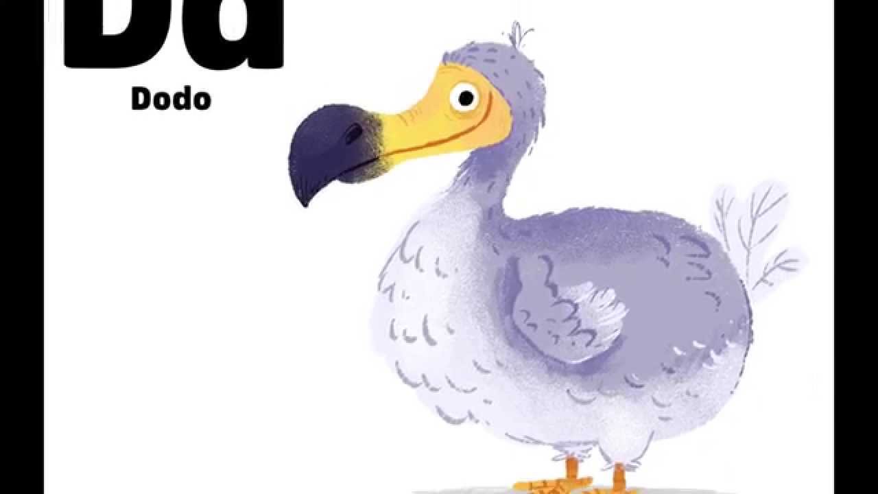Animal Alphabets - WEEK 4 - D is for Dodo - YouTube