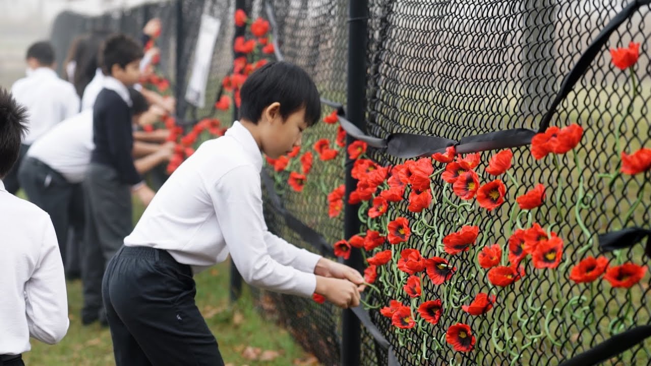The Special Poppy Fence in the Junior School - YouTube