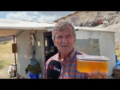 Zengin Floraya Sahip Süphan Dağı'nda Bal Sağımı Başladı