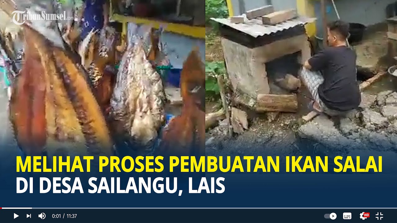 Proses Pembuatan Ikan Salai - YouTube