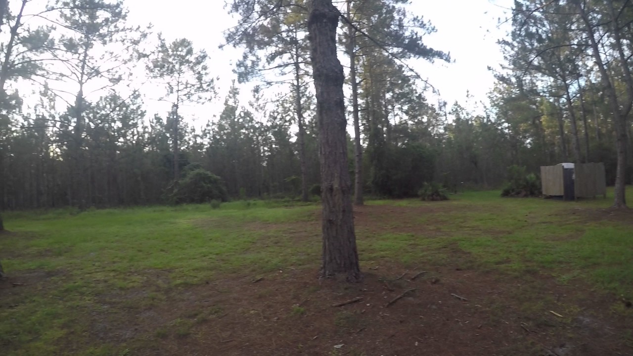 Video of Oak Ridge Primitive Campground, FL from Elliott B. - YouTube
