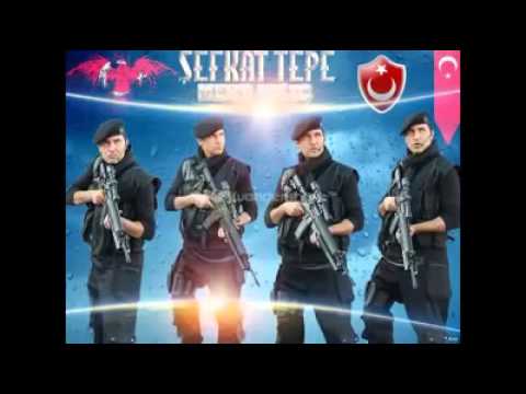 sungurlar ray ray ray kükredi aslanlar