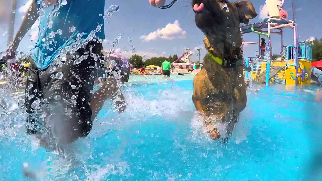 Goose & the Liberty Lagoon "Pool Pawty" - YouTube