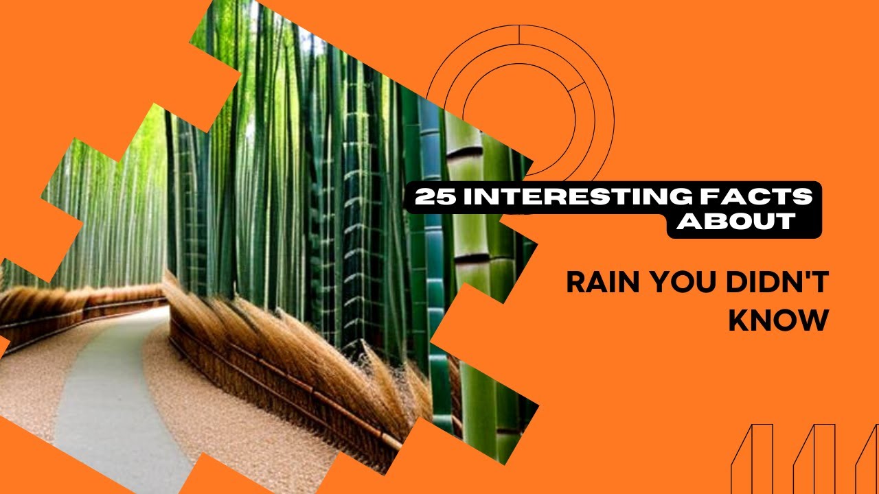 Fact and Natur | 25 Interesting Facts About Bamboo You Didn't Know ...