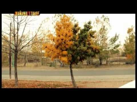 Mañana Es Tarde TV - Clip Otoño