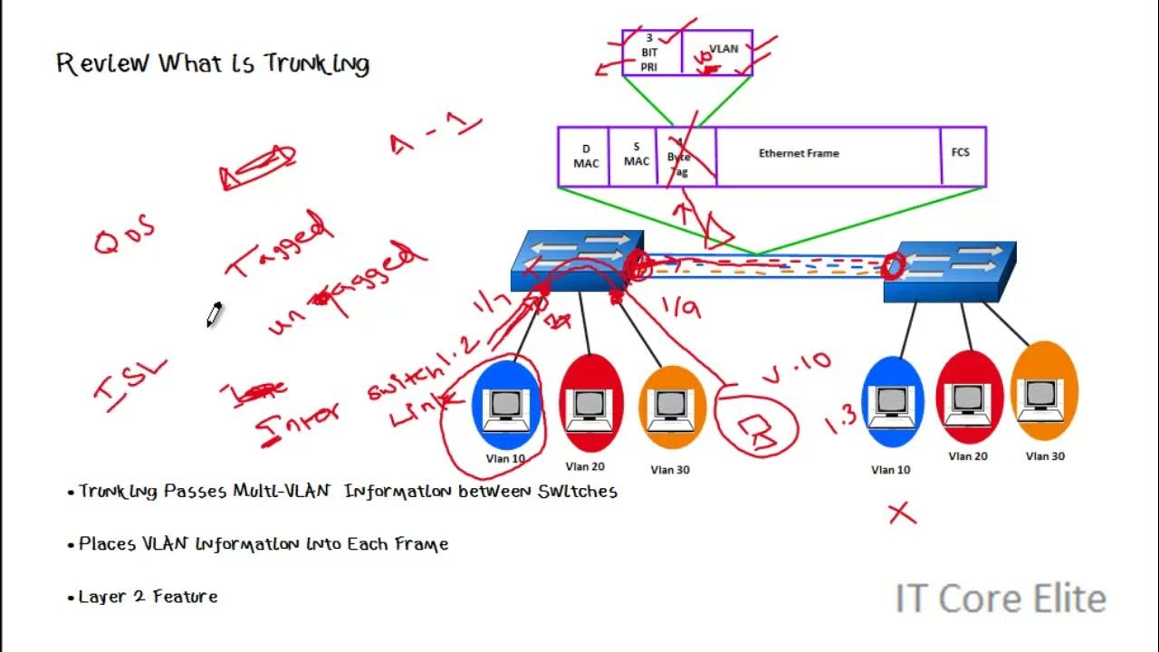 Cisco CCNA Tamil - Introduction to VTP and 802 1q in Tamil - The Tech Nexus WorldI - YouTube