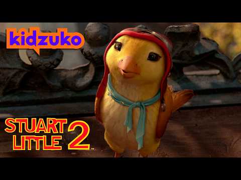 ✨ Margalo Decides To Fly Home 🐤 | Stuart Little 2 |  ⁨@Kidzuko⁩