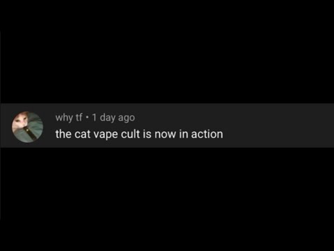 The cat vape cult