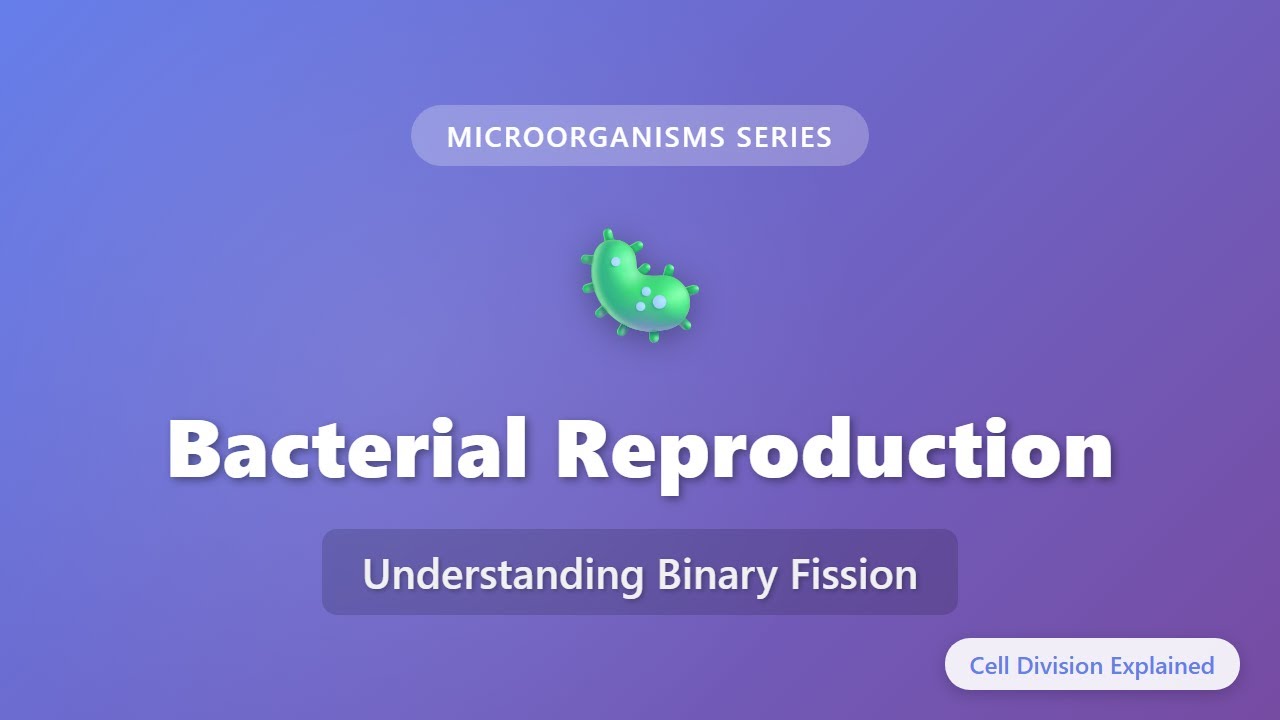 Bacterial Reproduction: Binary Fission Explained | Asexual Cell ...