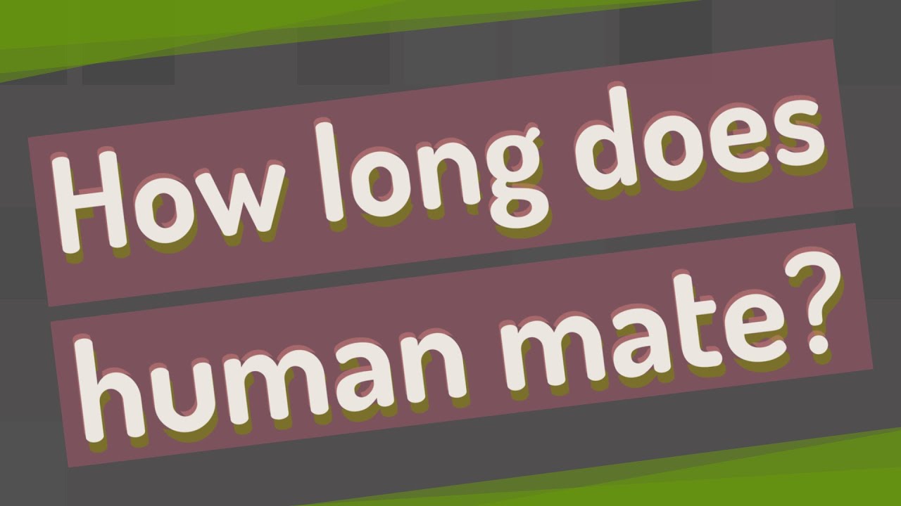 How long does human mate? - YouTube