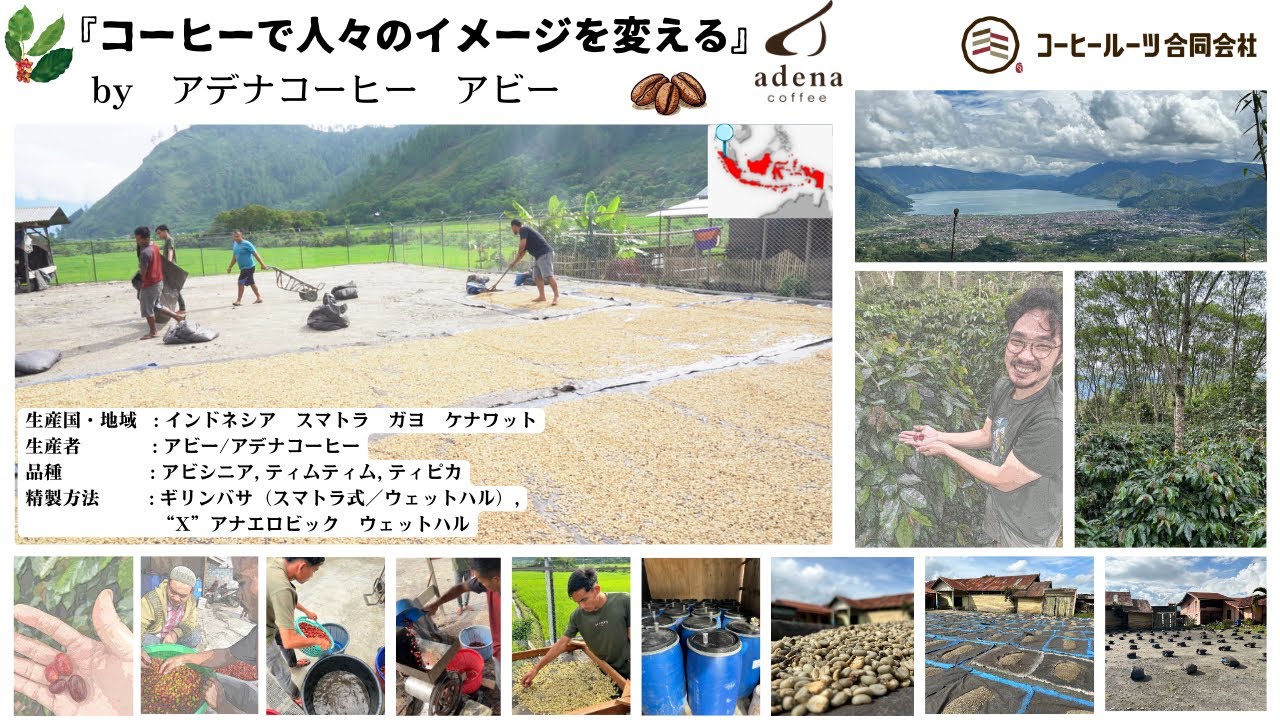 コーヒー生産者：アデナコーヒー アビー（インドネシア スマトラガヨ）/ Coffee Producer: Adena Coffee Aby ...