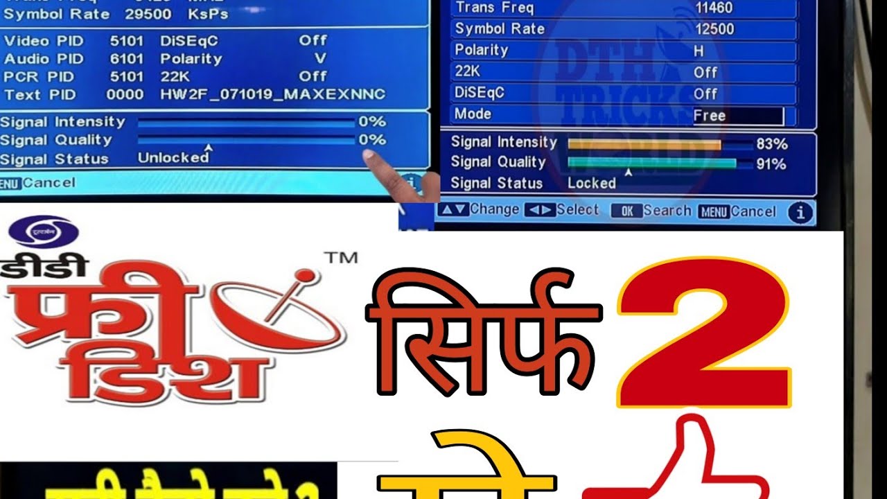 DD free dish setup box signal 0 0 problem solution repair #no program ...