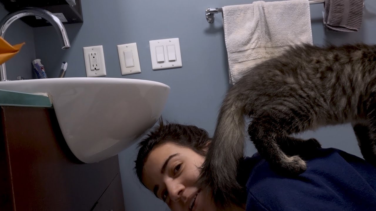 VLOG 006: He pooped himself. - YouTube