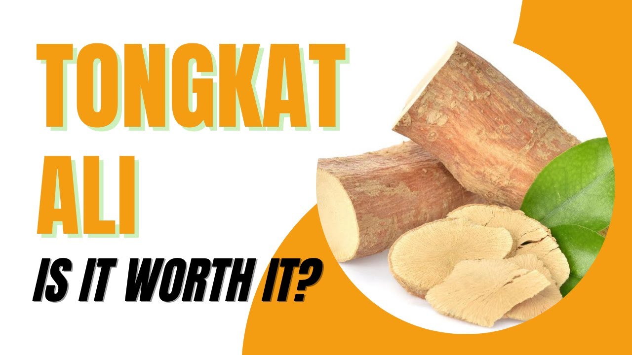 TONGKAT ALI | Is it worth it? Side effects? - YouTube