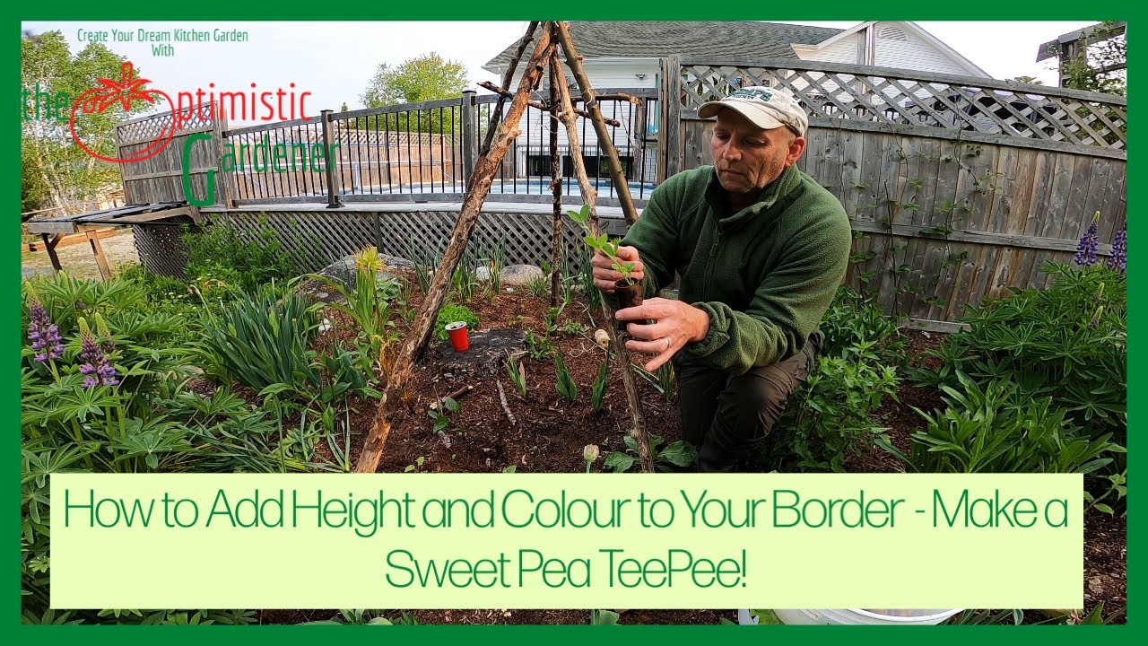 How to Add Height and Colour to Your Border - Create a Sweet Pea Teepee ...
