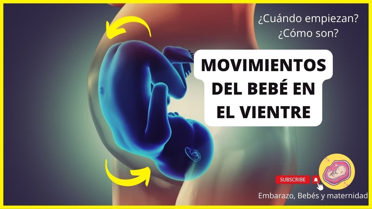 ASI SON LOS MOVIMIENTOS DEL BEBÉ EN EL VIENTRE || cuando se mueve el ...
