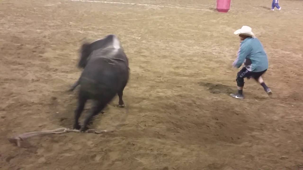 2016 Amador County Fair - Rodeo Bull Riding 4 - YouTube