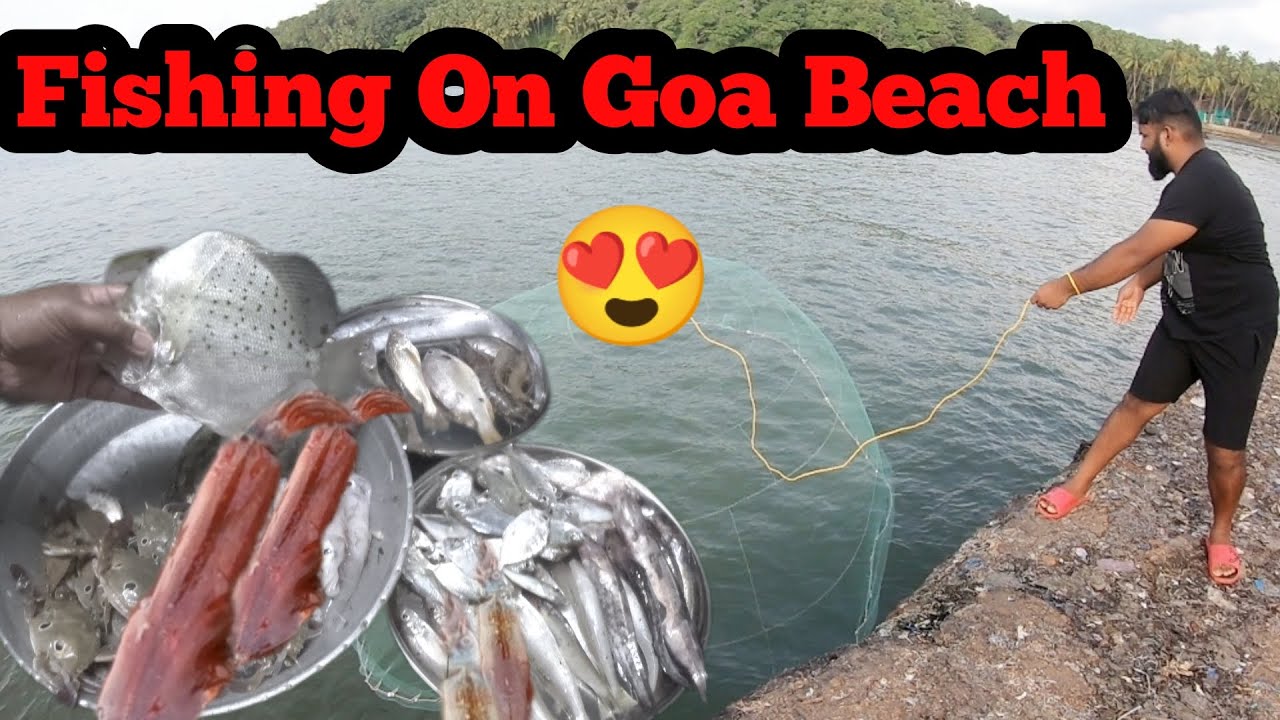 Goa Fishing Vlog | Catch Lots of Fish | Most Popular Fishing in goa 🎣🏝️ ...